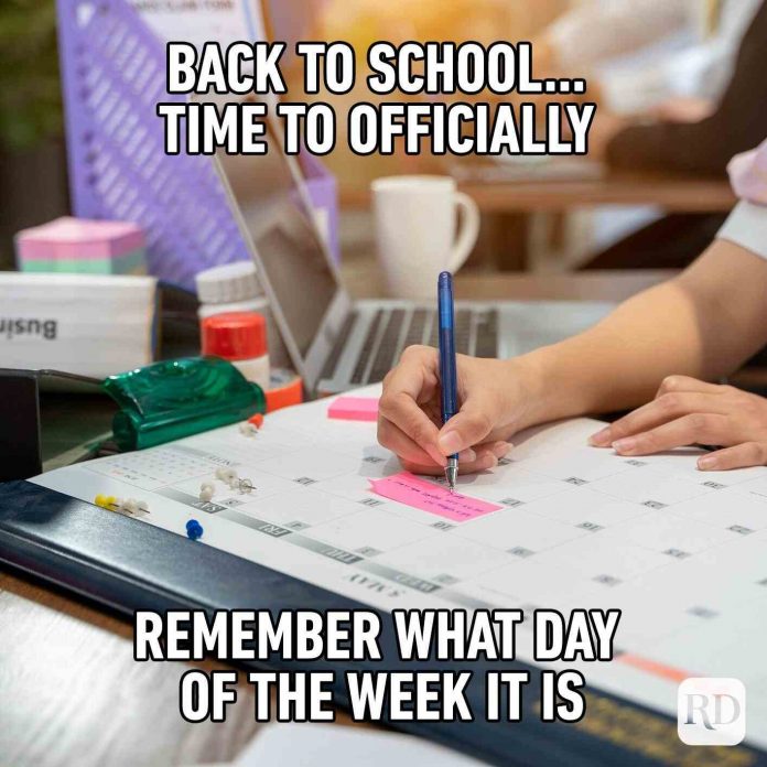 45 Funny School Memes Every Student Will Love