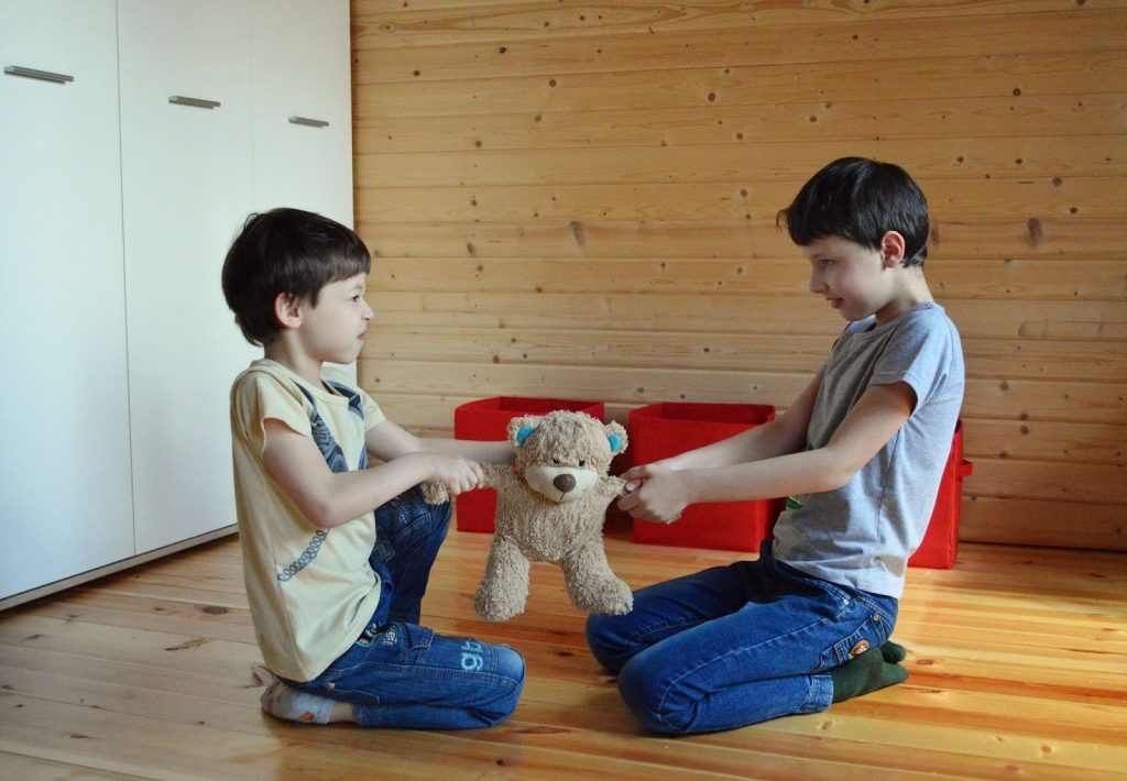 How To Stop Kids From Fighting: 5 Best Tips for Parents