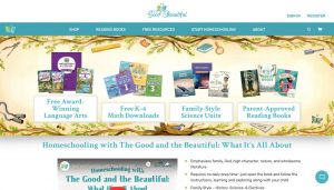 15 Best Preschool Homeschool Curriculum: Picks for Parents