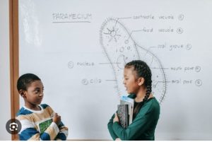 10 Best Active Learning Strategies for Kids in the Classroom