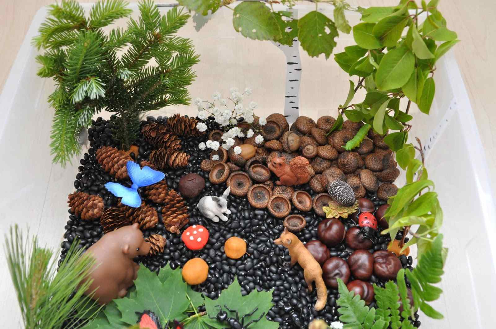15 Best Outdoor Activities for 2-Year-Olds