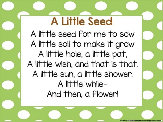 30 Best Spring Poems for Kids to Cherish The Season [Updated]