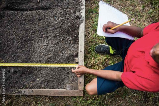 14 Best Outdoor Math Activities for Kids to Boost Math Skills