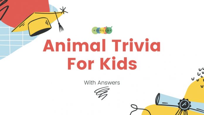 50 Best Animal Trivia Questions for Kids With Answers [2024]