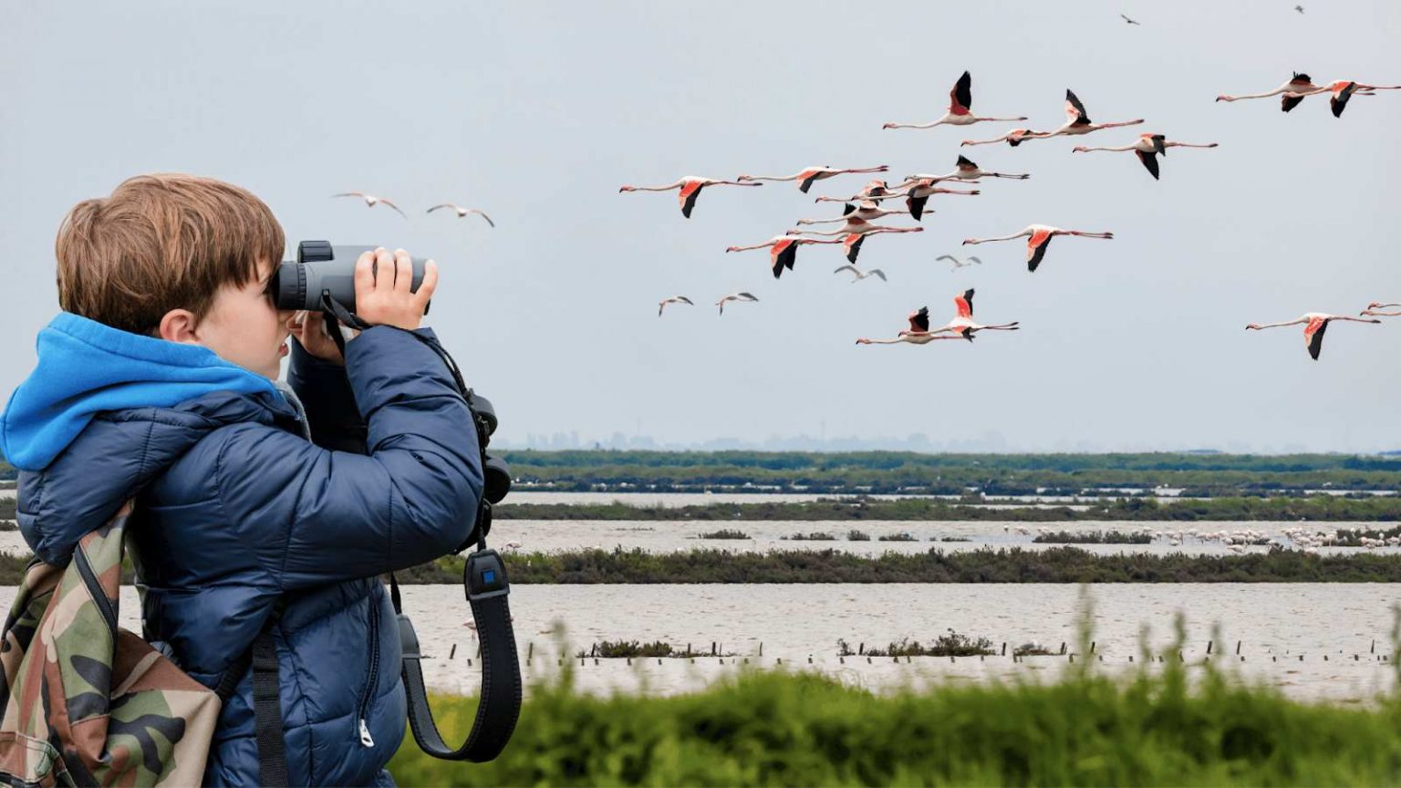 15 Best Spring Activities for Kids in 2025 [Updated List]