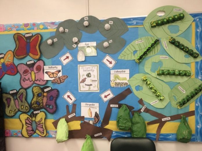 13 Best Spring Bulletin Board Ideas for Classroom in 2025