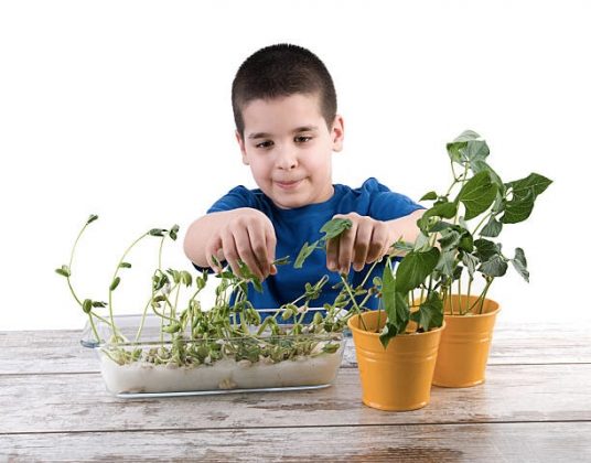 How to teach 4th Grade Kids: 25 Best Tips & Tricks