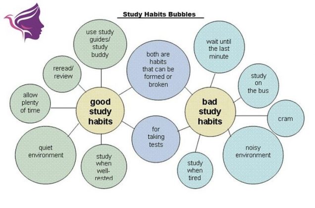 12 Best Study Habits of Students to be Successful in School