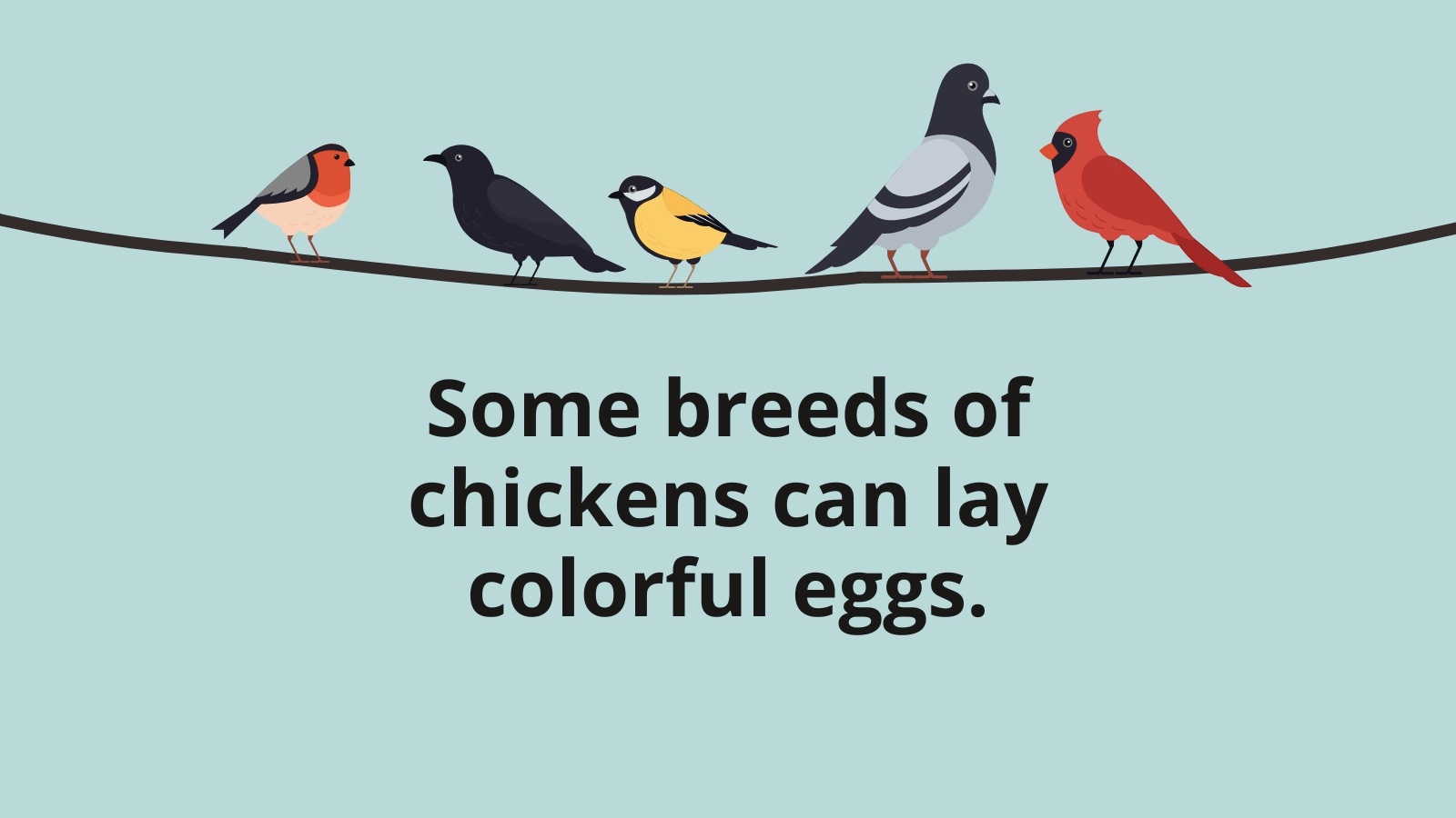 60 Fun Animal Facts for Kids