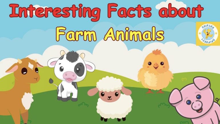 60 Fun Animal Facts for Kids