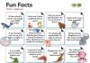 60 Fun Animal Facts for Kids