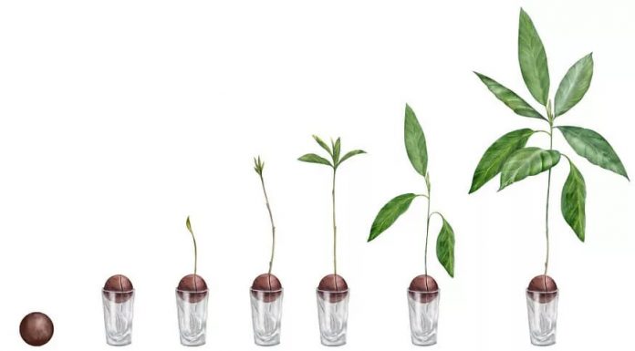 15 Best STEM Activities for Preschoolers