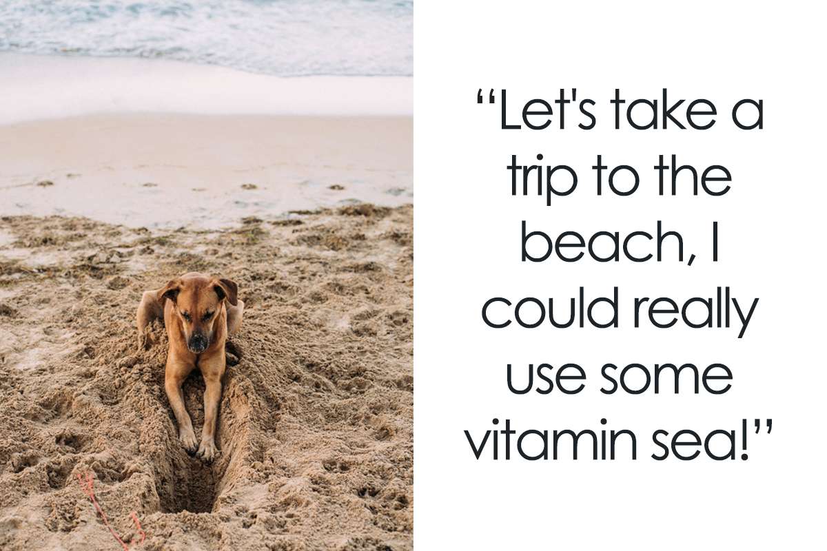 50 Funny Summer Jokes for Kids That Make Them Laugh