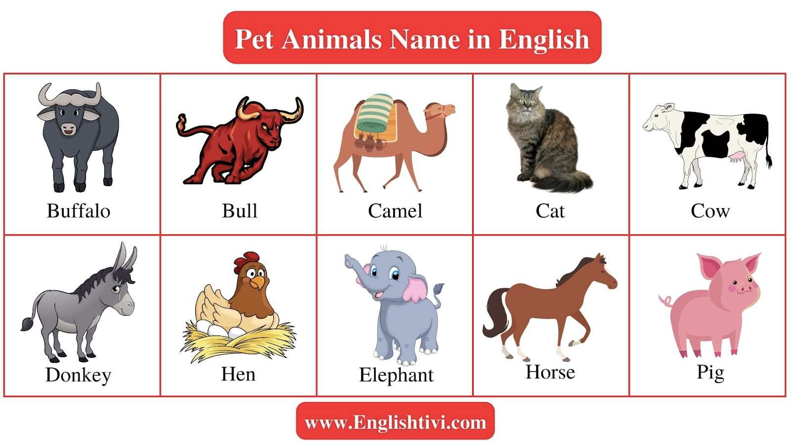 List of 180 Animal Names in English for Kids