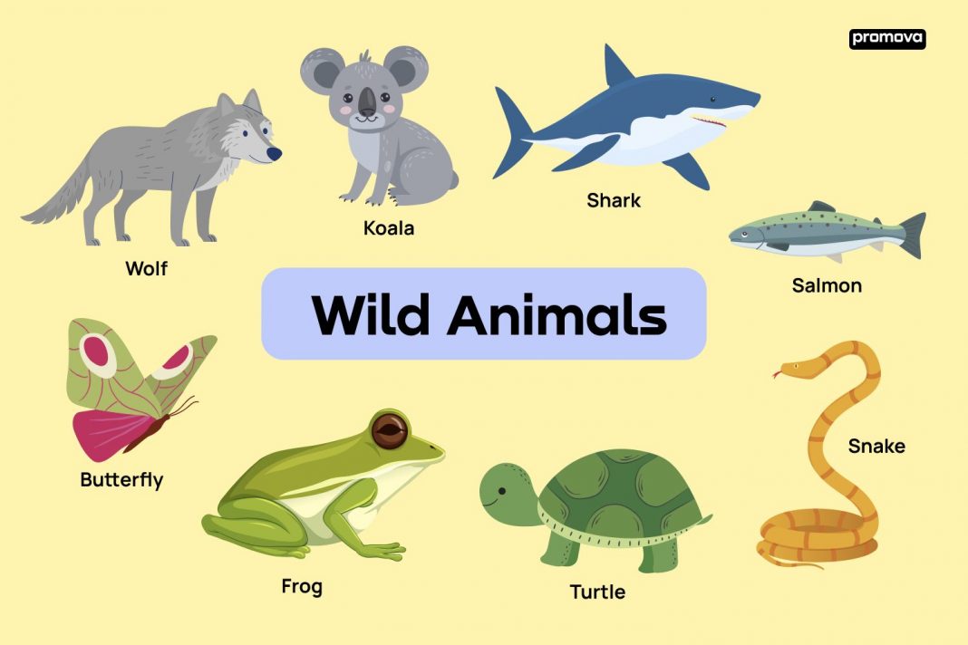 List of 180 Animal Names in English for Kids