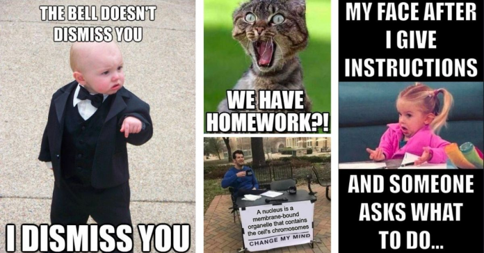 45 Funny School Memes Every Student Will Love