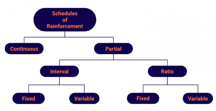 How to Use Positive Reinforcement: 7 Best Tips