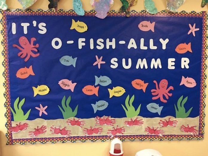 15 Fun Summer Bulletin Board Ideas for 2025