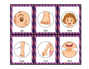 15 Fun and Educational Body Part Activities for Kids