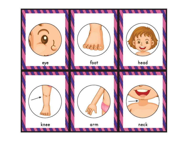 15 Fun and Educational Body Part Activities for Kids