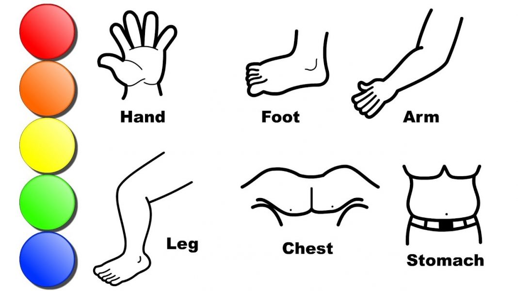 15 Fun and Educational Body Part Activities for Kids