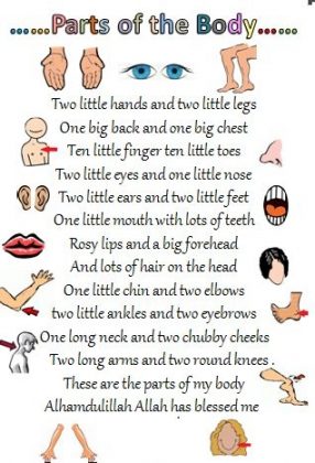 15 Fun and Educational Body Part Activities for Kids