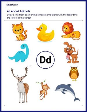18 Fun Letter D Activities for Kids