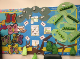 35 Unique Classroom Bulletin Board Ideas for Teachers