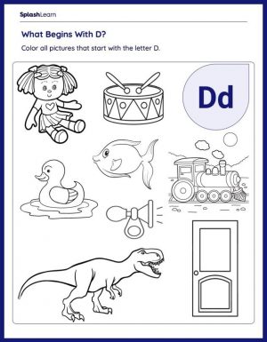 18 Fun Letter D Activities for Kids