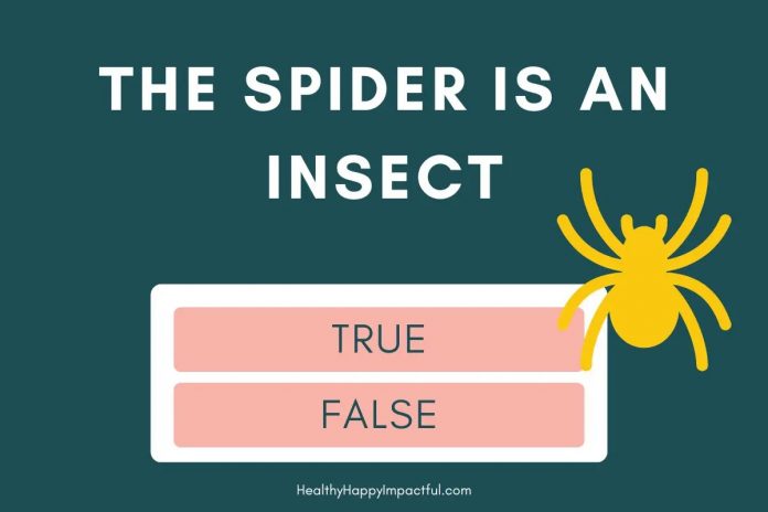 100 True or False Questions for Kids [With Answers]