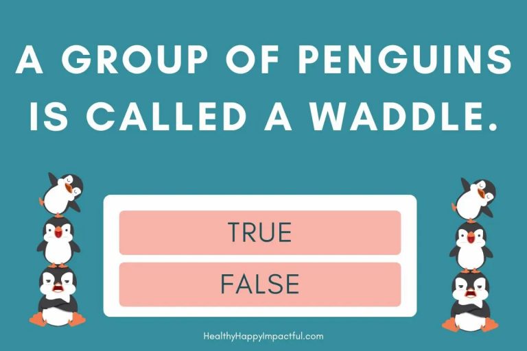 100 True or False Questions for Kids [With Answers]