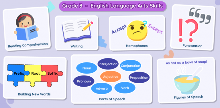 What Do You Learn in 3rd Grade? 5 Key Concepts & Skills