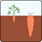 What Does Mass Mean in Math? Definition, Units, Examples, Facts