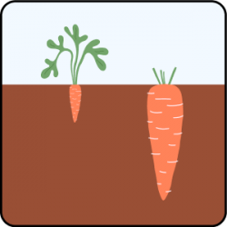 What Does Mass Mean in Math? Definition, Units, Examples, Facts