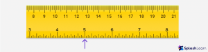 What is Ruler? Definition, Types, Examples, Facts