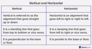 What is Vertical Line? Definition, Meaning, Properties, Examples