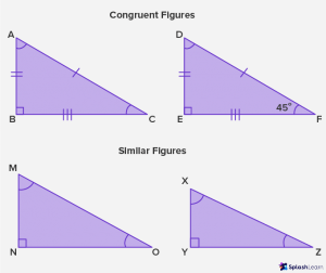 What is Congruent? Definition, Examples, Facts