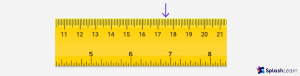 What is Ruler? Definition, Types, Examples, Facts