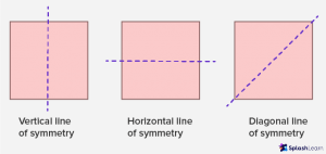 What is Symmetry? - Definition Facts and Examples