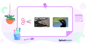 What is Acute Angle? Definition, Properties, Formulas & Examples