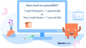 What is Pound in Maths? Meaning, Definition, Examples, Facts