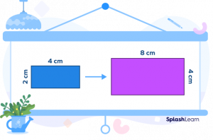 What is Scale? Meaning, Formula, Examples