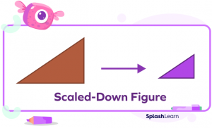What is Scale? Meaning, Formula, Examples