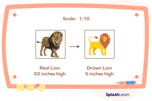 What Is Scaling In Math Definition Types Factor Examples