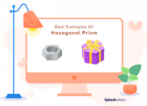 What is a Hexagonal Prism? Definition, Solved Examples, Facts