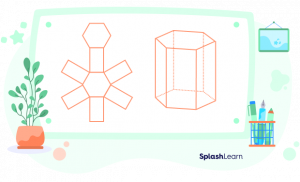 What is a Hexagonal Prism? Definition, Solved Examples, Facts