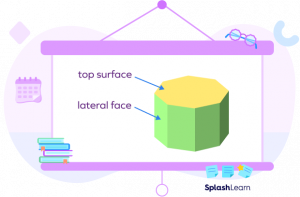 What is Lateral Face? - Definition, Examples, Facts