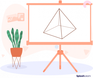 What is Lateral Face? - Definition, Examples, Facts