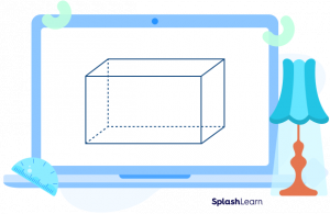 What is Lateral Face? - Definition, Examples, Facts