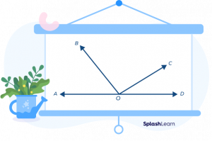 What is Straight Angle? Definition, Properties, Examples, Facts